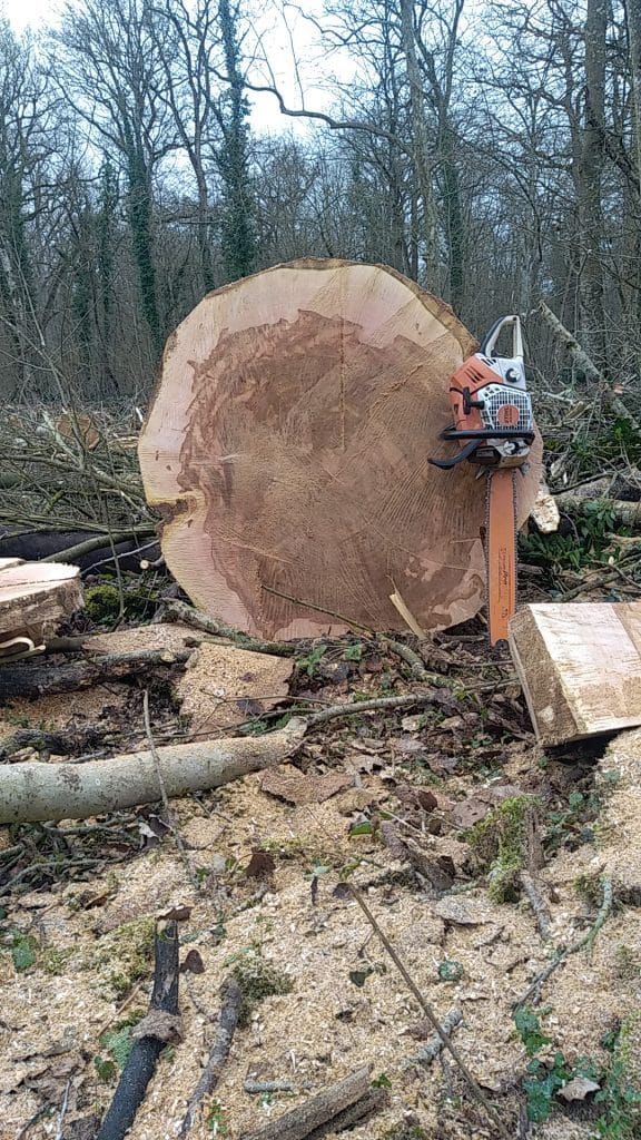 Exploitation forestière Angers | Vente bois de chauffage